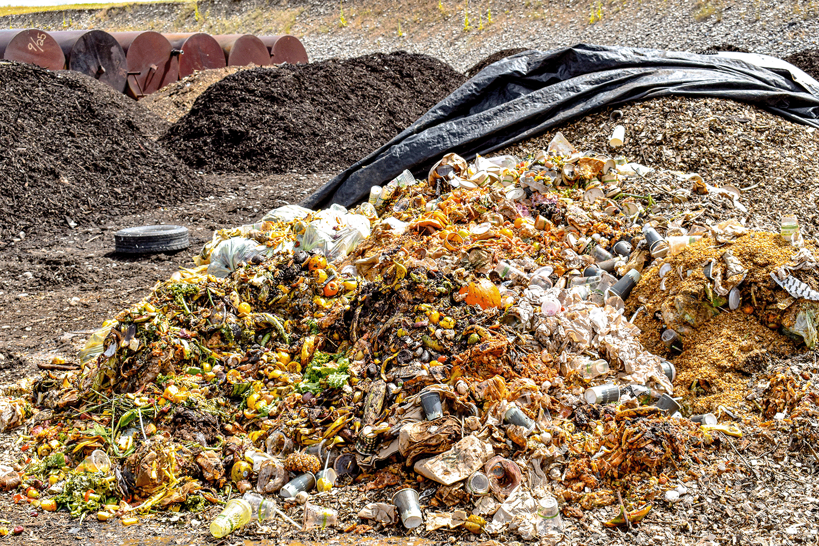 What is Compost Tea? - Yard Guard Lawn and Tree Care