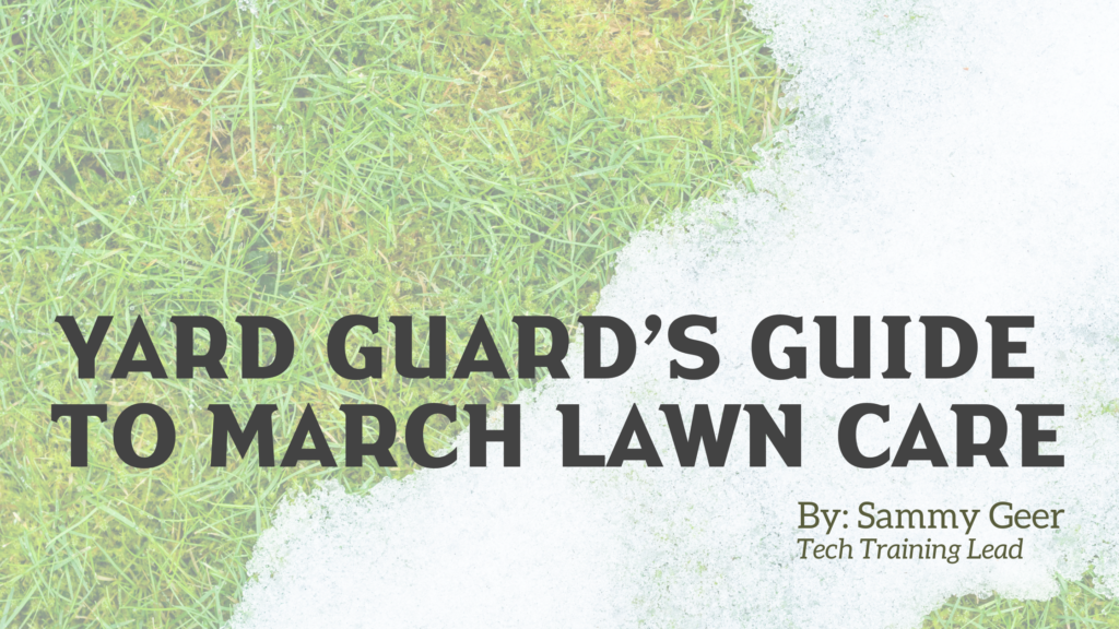 Yard Guard's Guide to March Lawn Care - Yard Guard Lawn and Tree Care